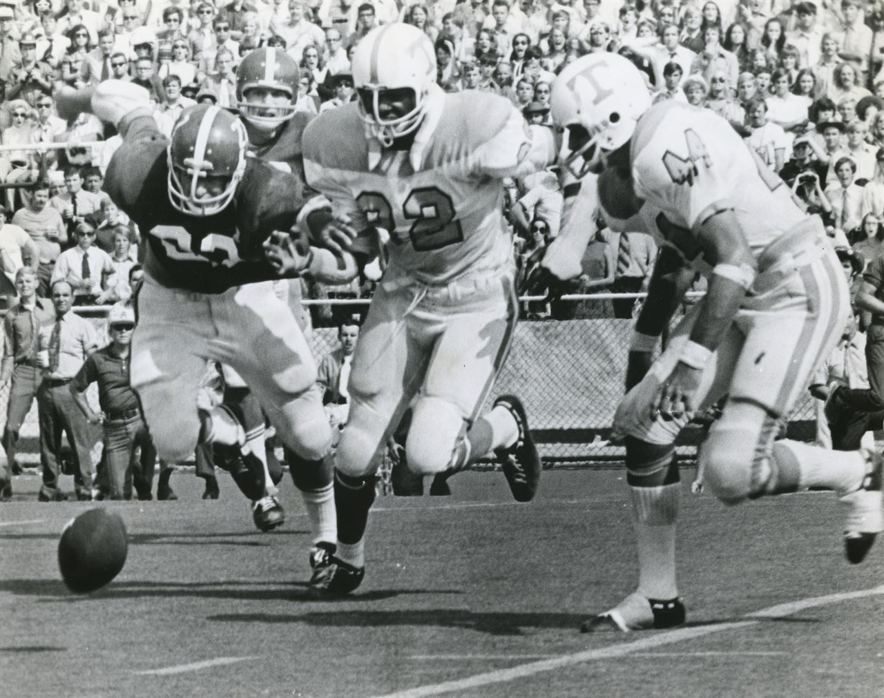 A Host of Volunteers